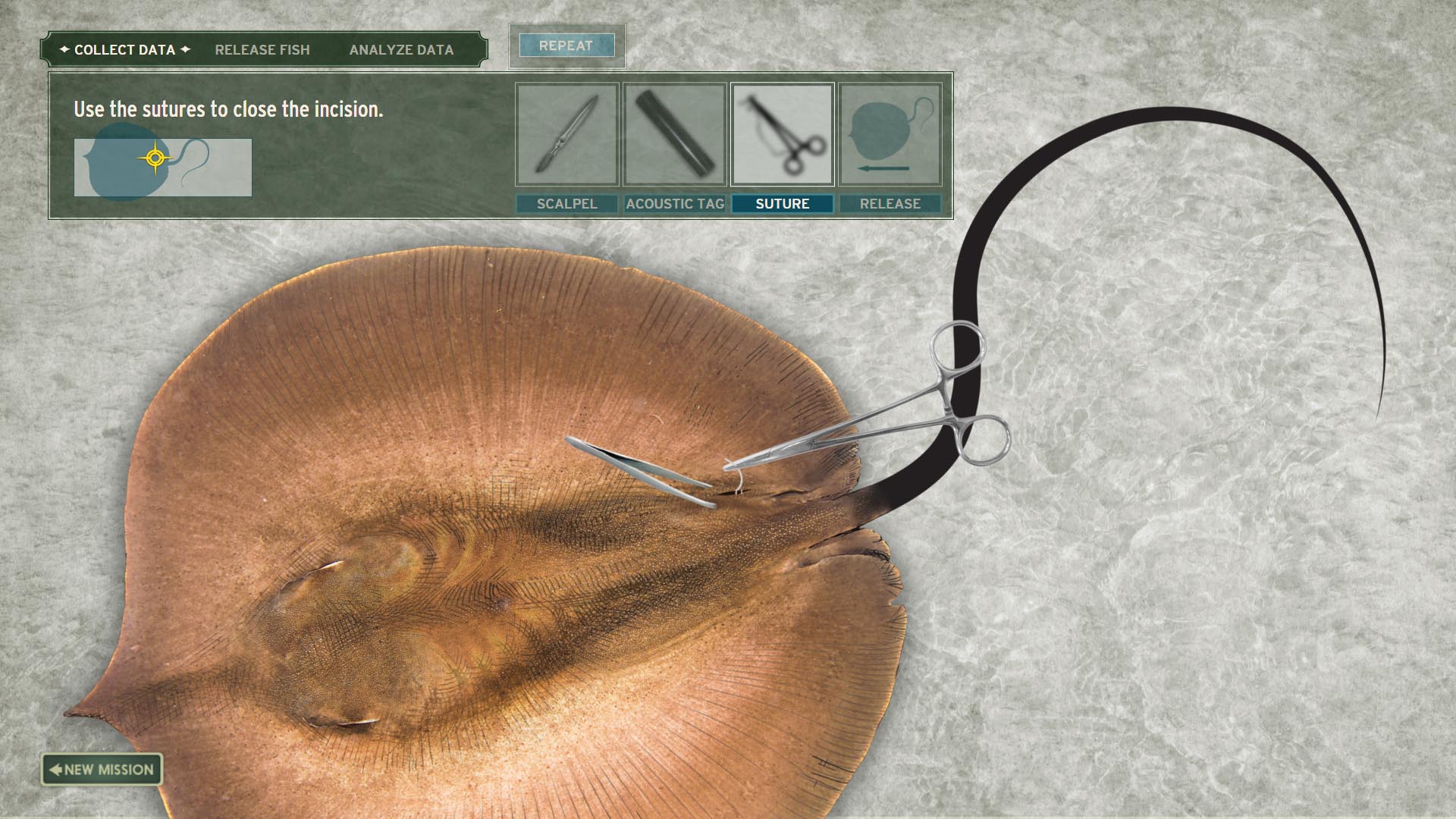 Insight Codeworks - Portfolio