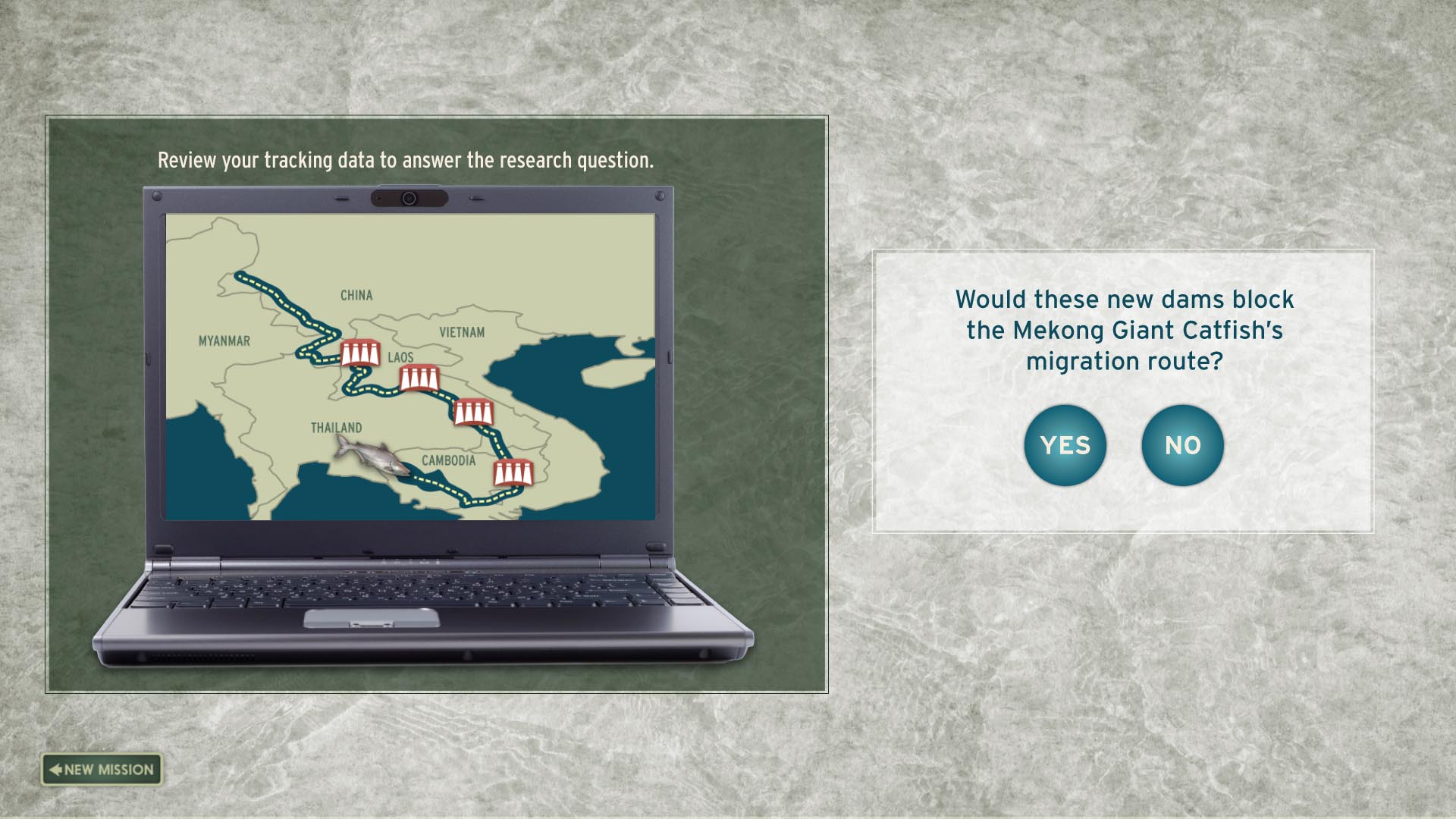 Insight Codeworks - Portfolio